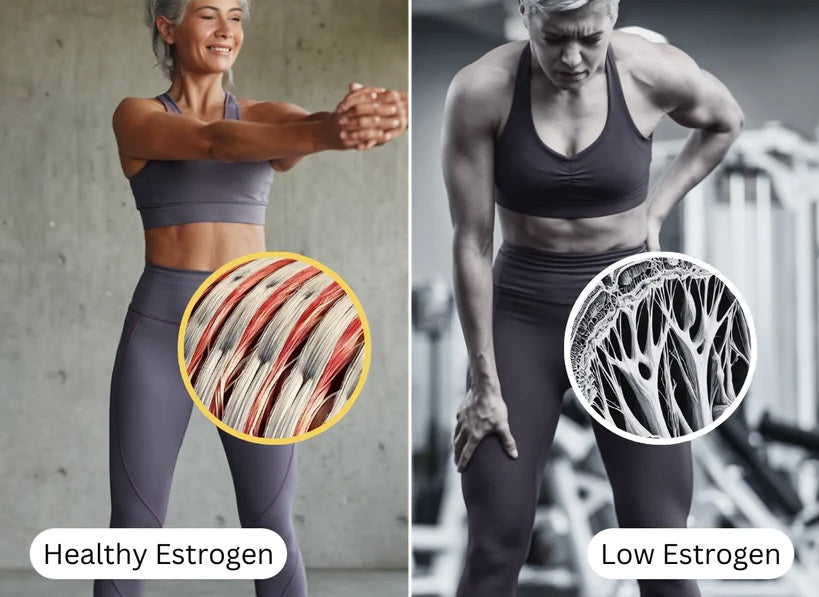 Provitalize – Celivio